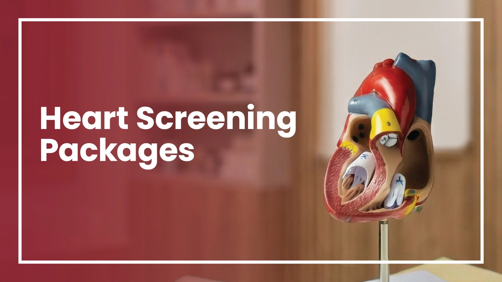 Heart Screening Package | Pantai Hospital Kuala Lumpur